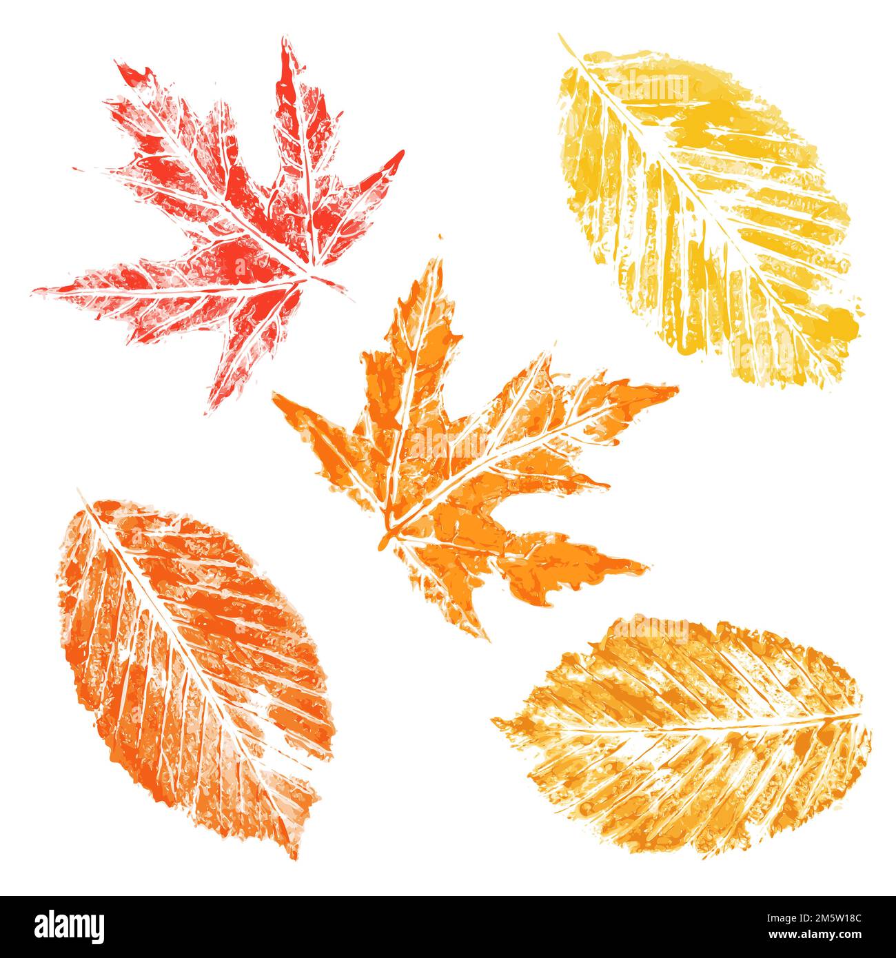 Set of bright Autumn leaves with painted watercolor by hand Stock ...