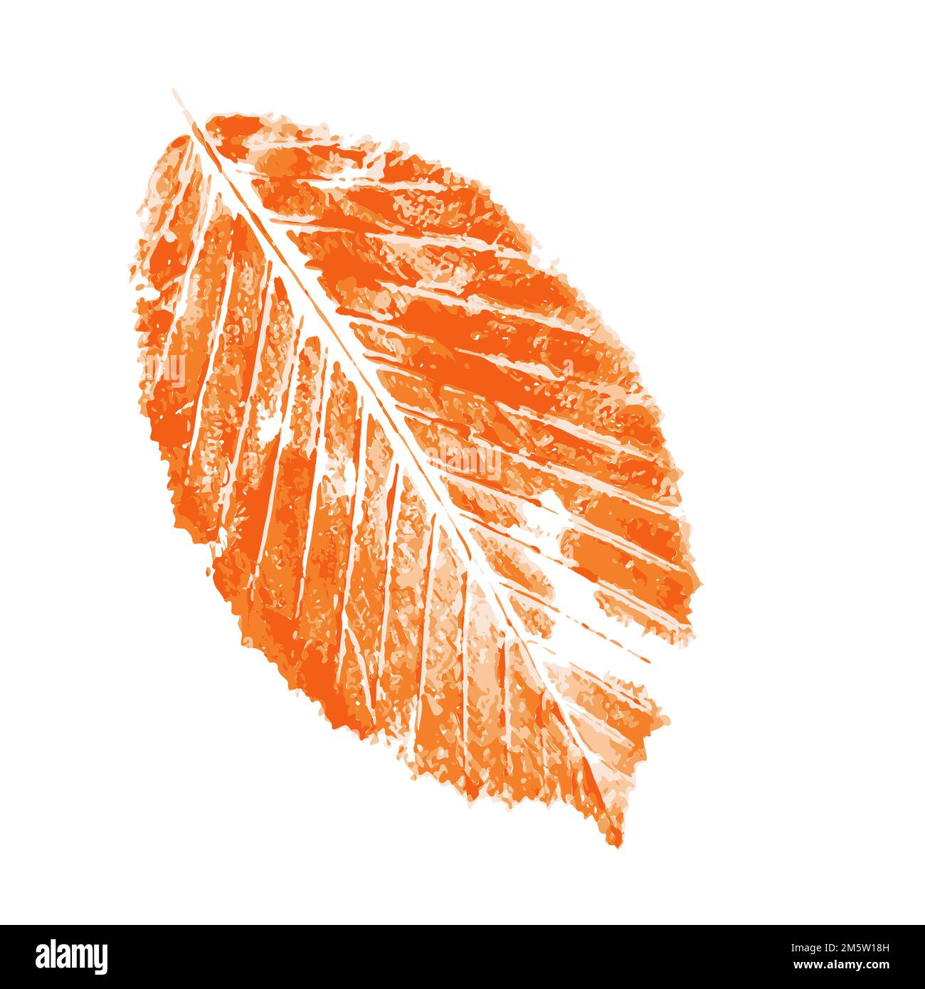 Print of orange Autumn leaves with painted watercolor by hand Stock ...