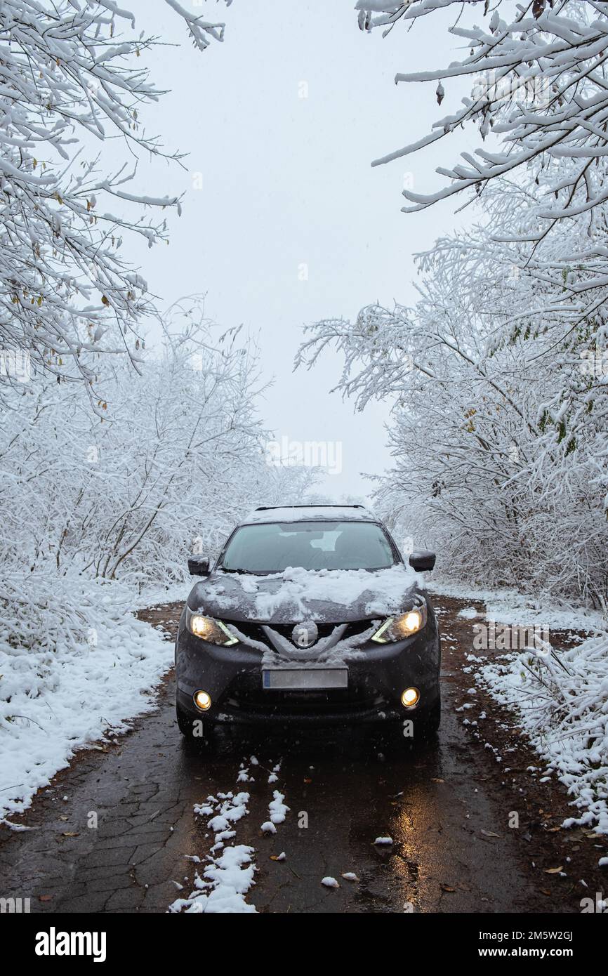Lights car in winter forest hi-res stock photography and images - Alamy