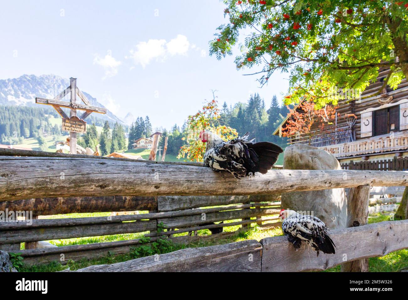 A view of old farm in Ramsau am Dachstein, Austria Stock Photo - Alamy