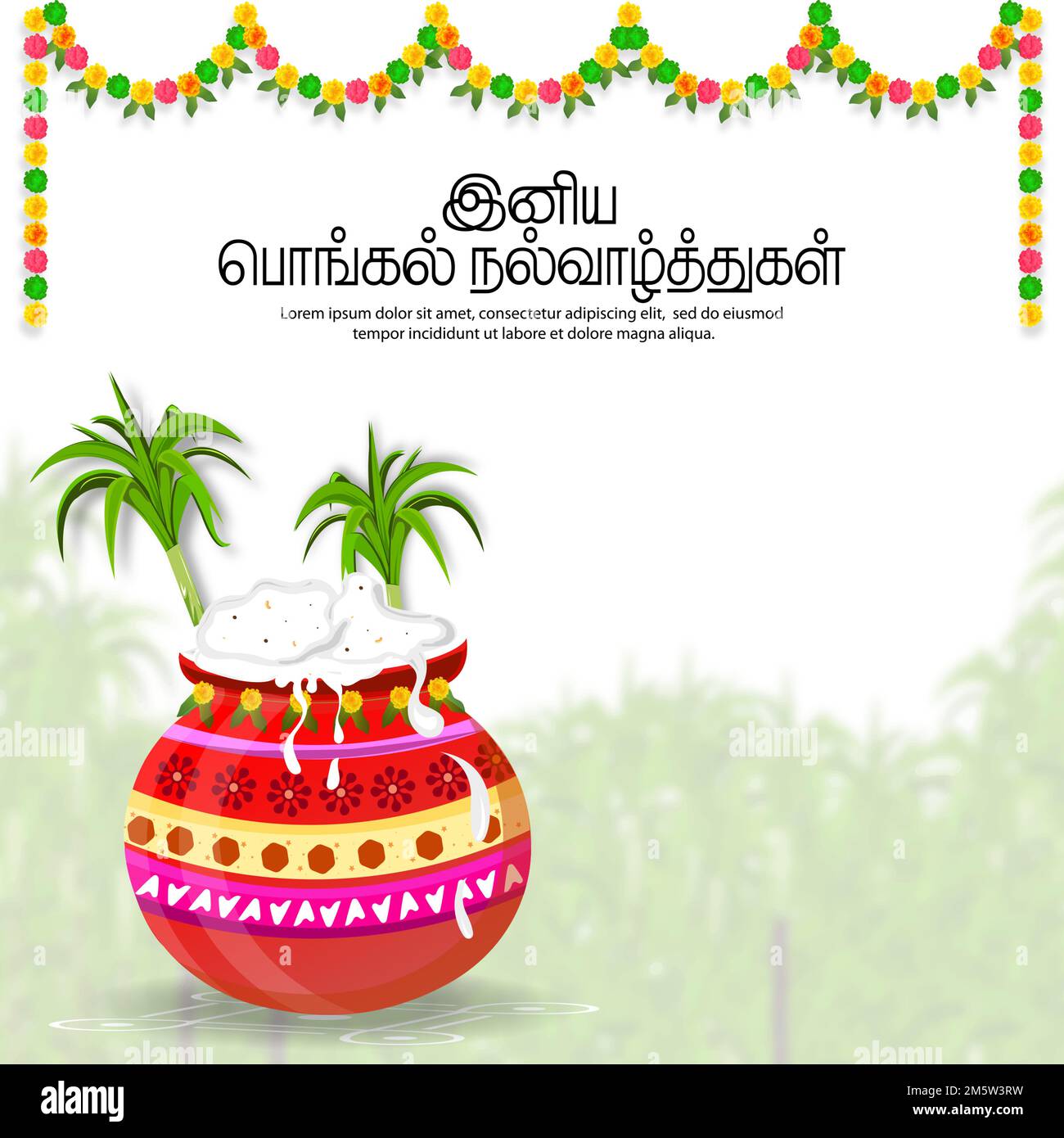 illustration of Happy Pongal Holiday Harvest Festival in South India ...