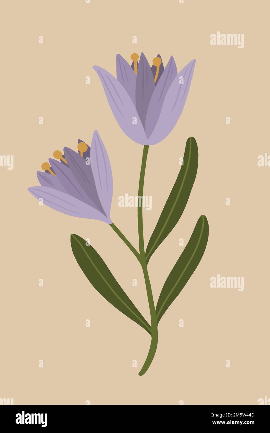 Blooming purple botanical flower vector Stock Vector Image & Art - Alamy