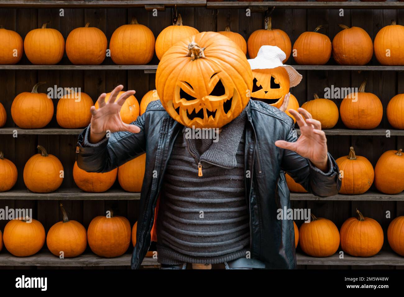 A male wearing pumpkin on head in background of pumpkins Stock Photo ...