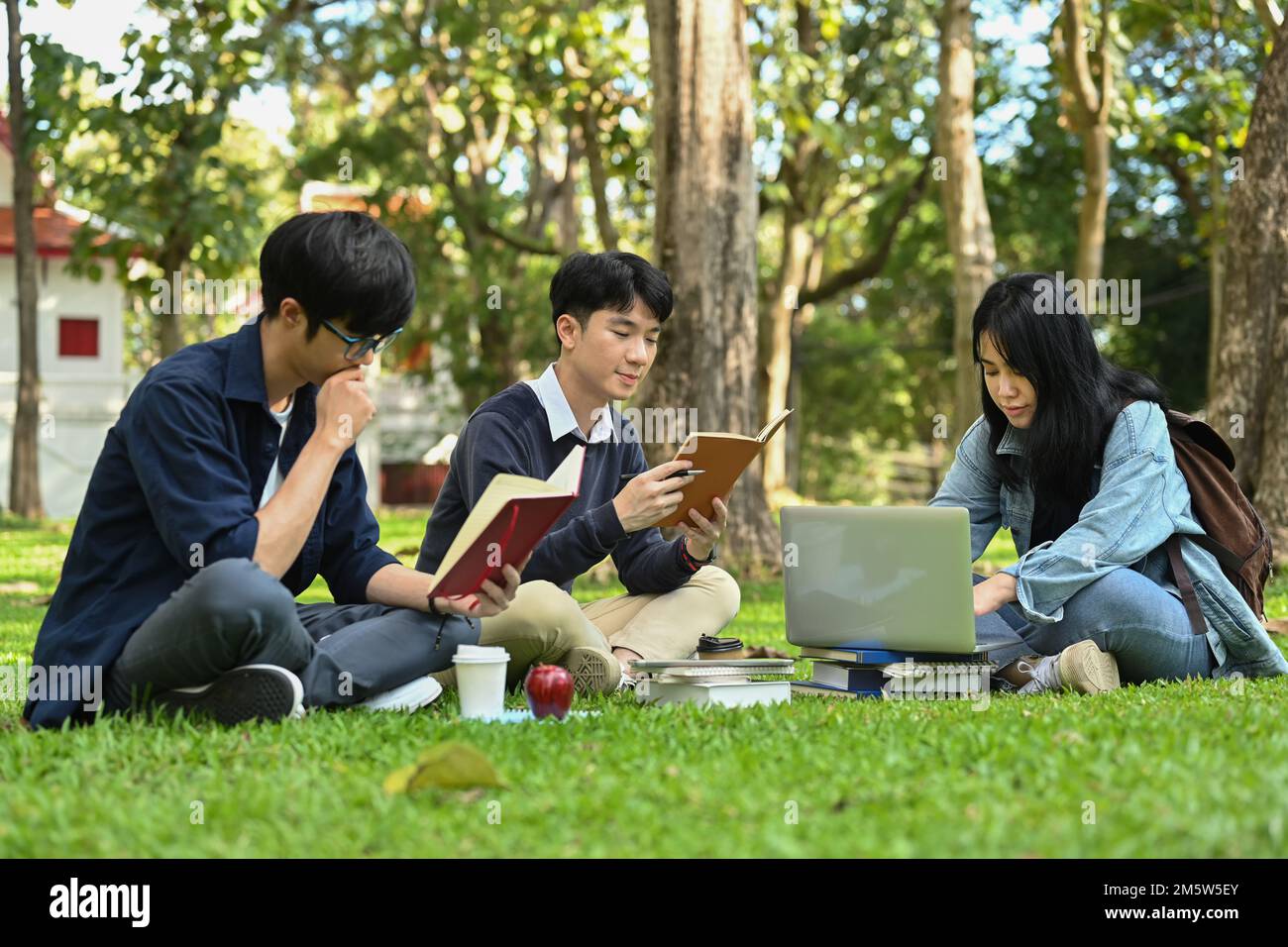 Students studying under tree hi-res stock photography and images - Alamy
