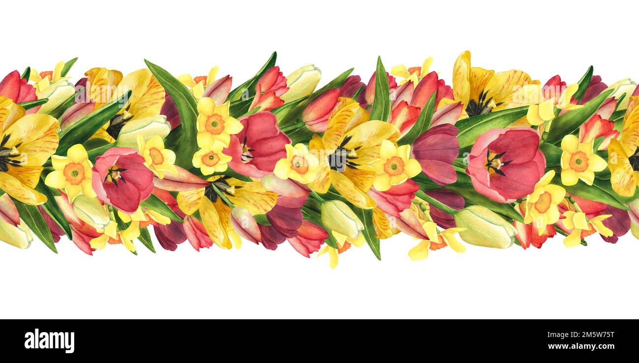 Seamless Garland Border with Tulips yellow, red and daffodils isolated ...