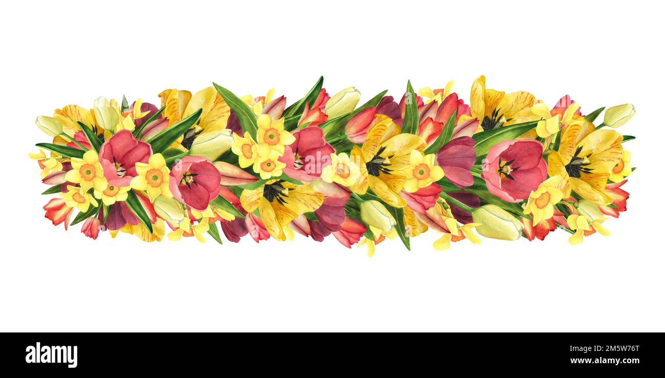 Garland Border with Tulips yellow, red colors and daffodils isolated on ...