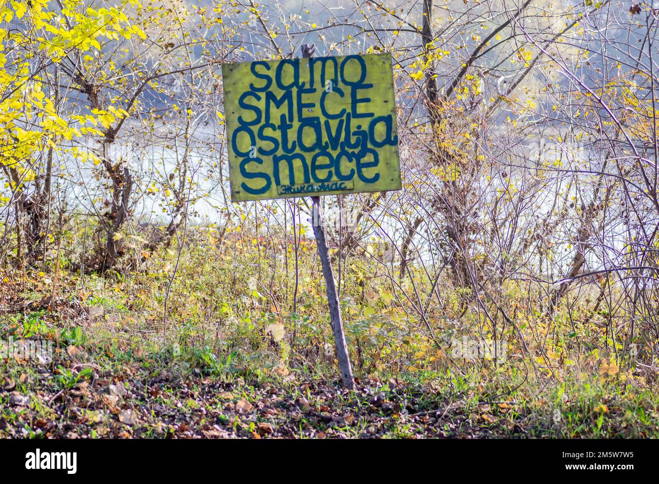 Wooden warning sign, at the entrance to the forest Stock Photo - Alamy