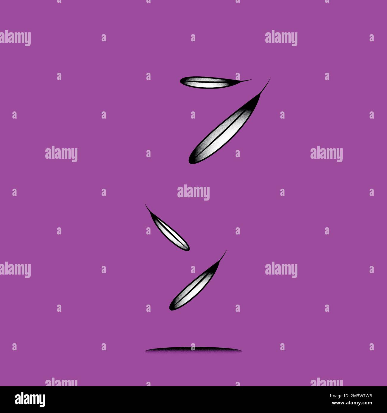 Four falling bird feather element on a purple background vector Stock ...