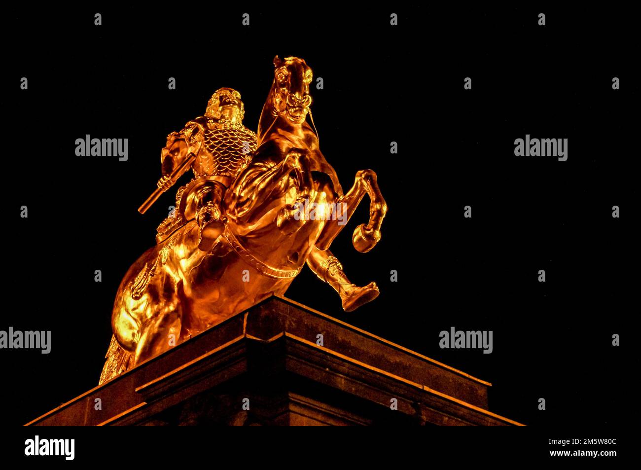 The Golden Rider statue at night in Dresden, Germany Stock Photo - Alamy