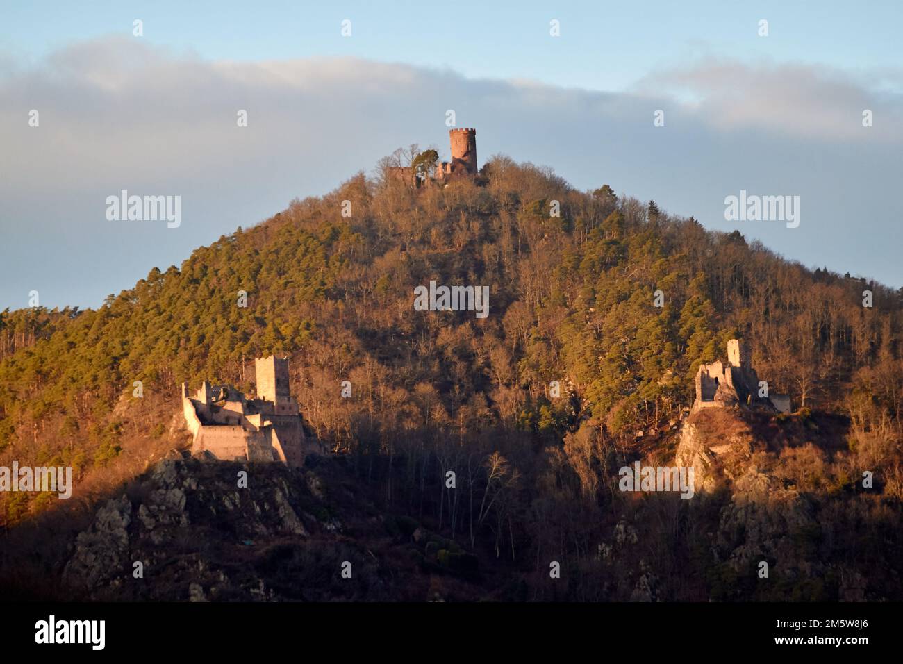 View from Hunawihr of the three castles of Ribeauvillé, Alsace, France ...