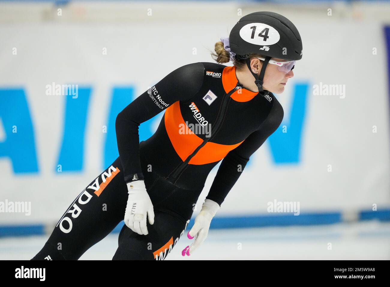 Angel daleman hi-res stock photography and images - Alamy