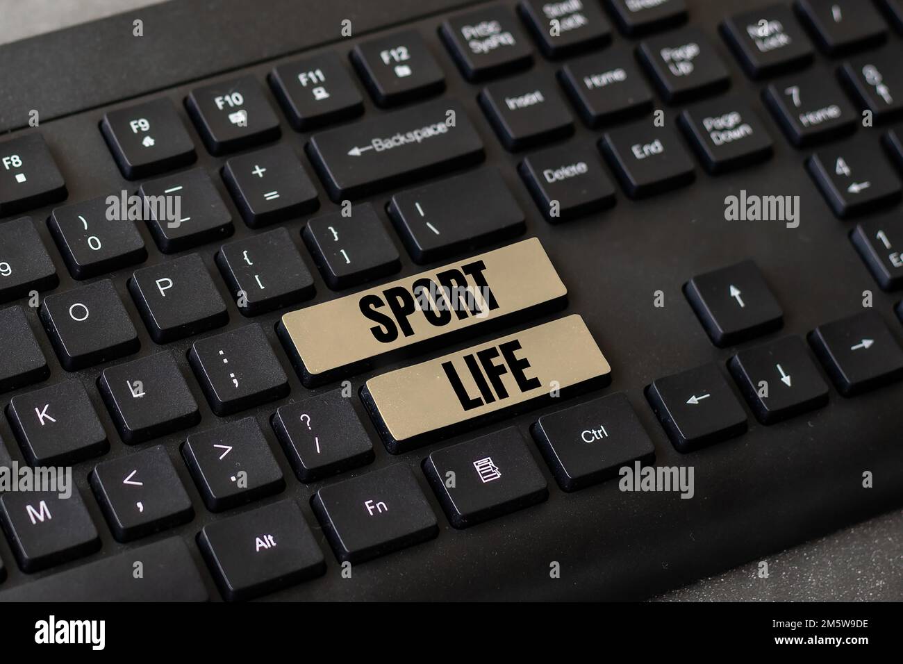 Sign displaying Sport Life. Conceptual photo Fond of sports or other ...