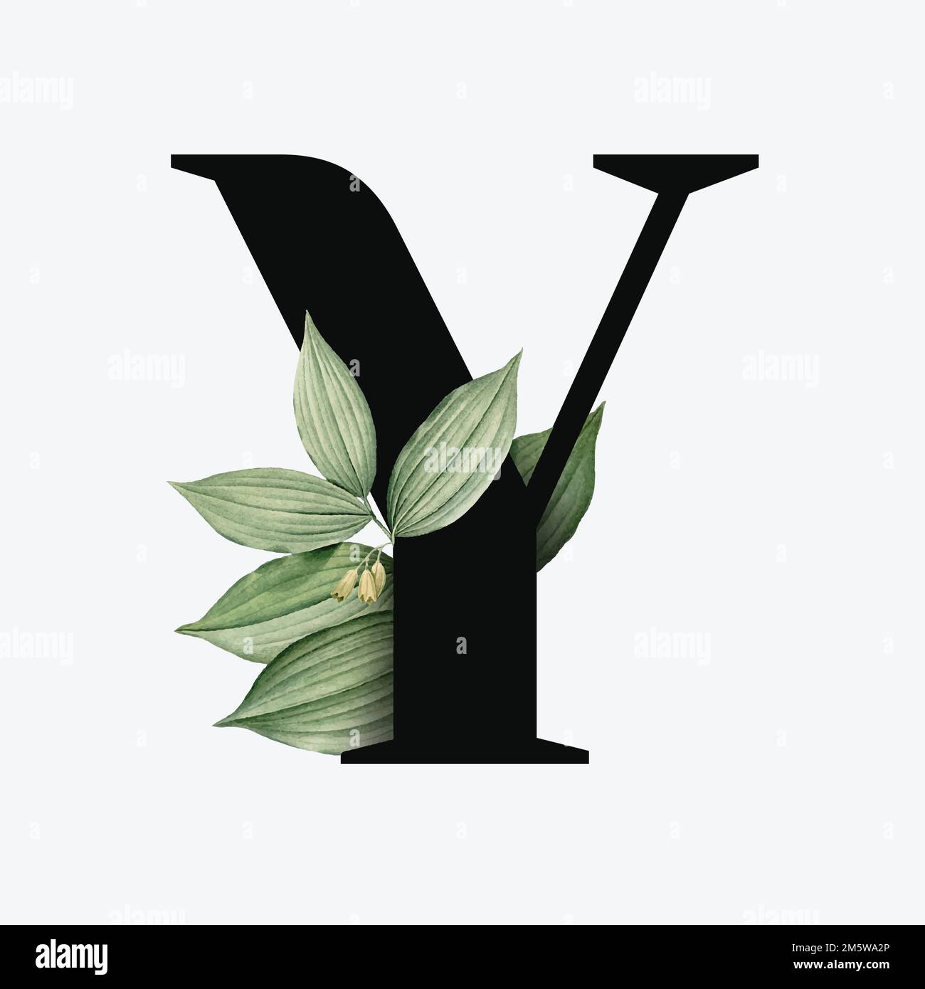 Botanical capital letter Y vector Stock Vector Image & Art - Alamy