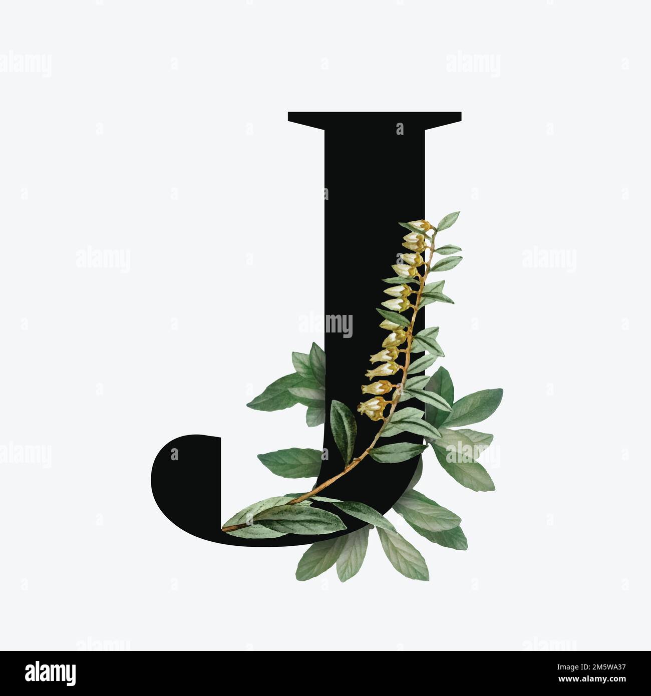 Botanical capital letter J vector Stock Vector Image & Art - Alamy