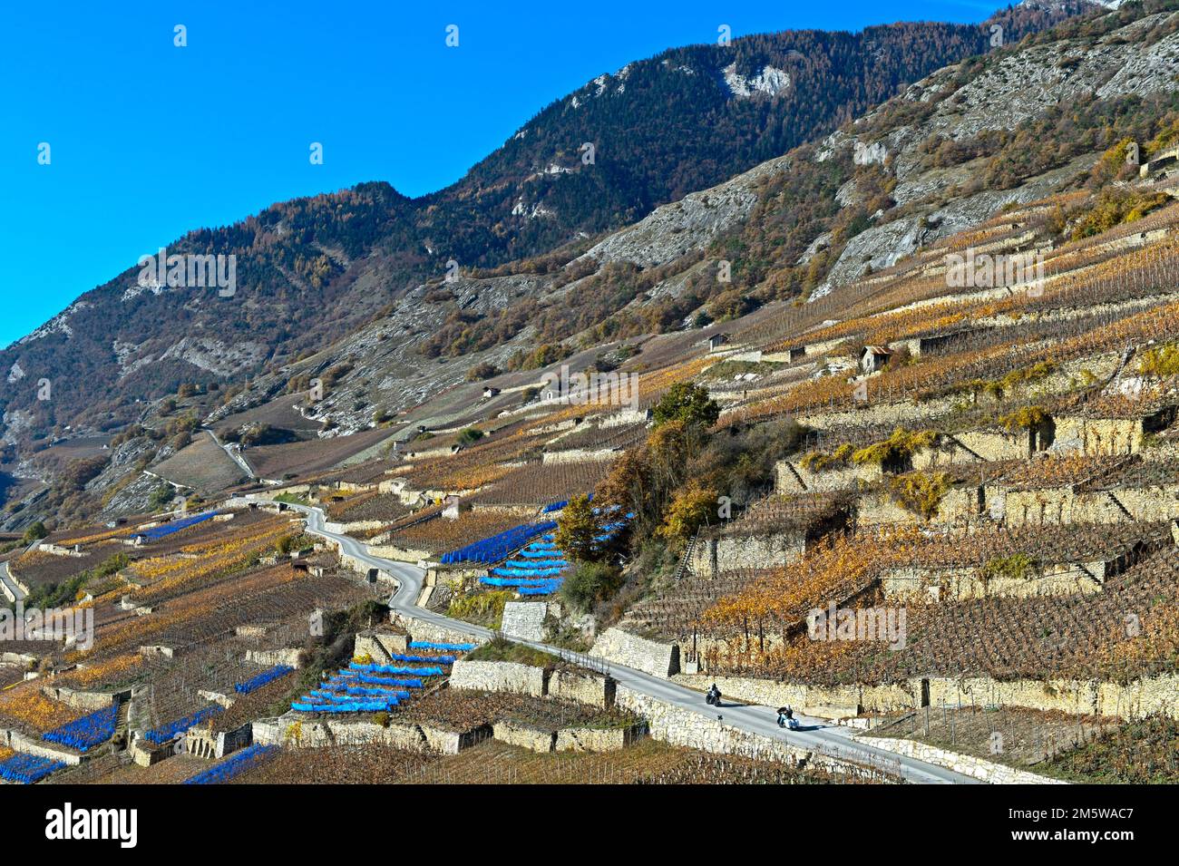 Valley slope hi-res stock photography and images - Alamy