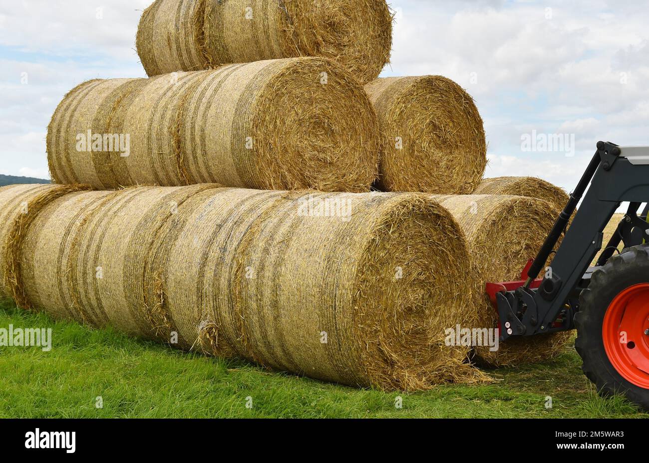 Straw bales are stacked with a wheel loader, Schleswig-Holstein ...