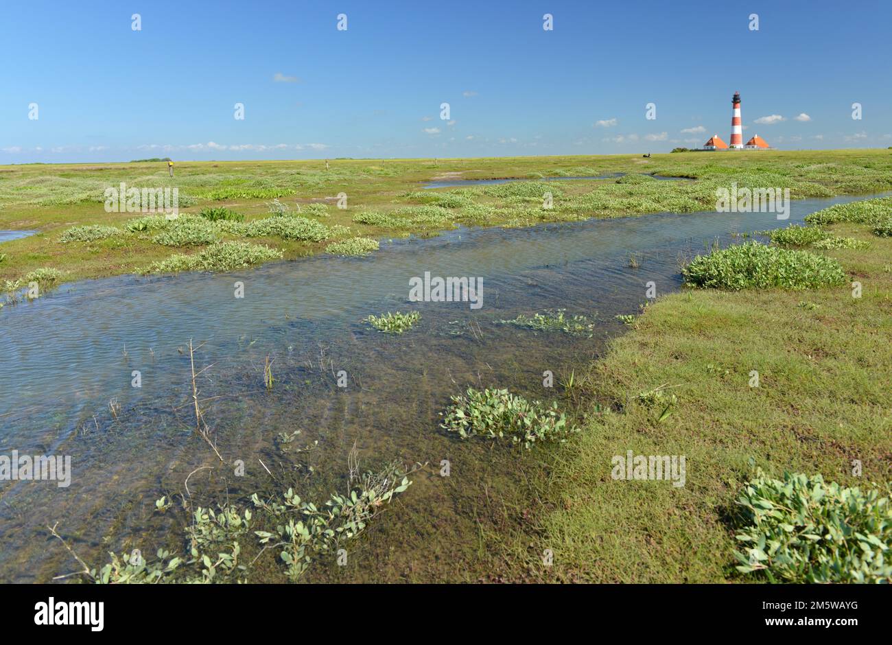 Salt marshes and tideways at Westerheversand lighthouse, Germany Stock ...