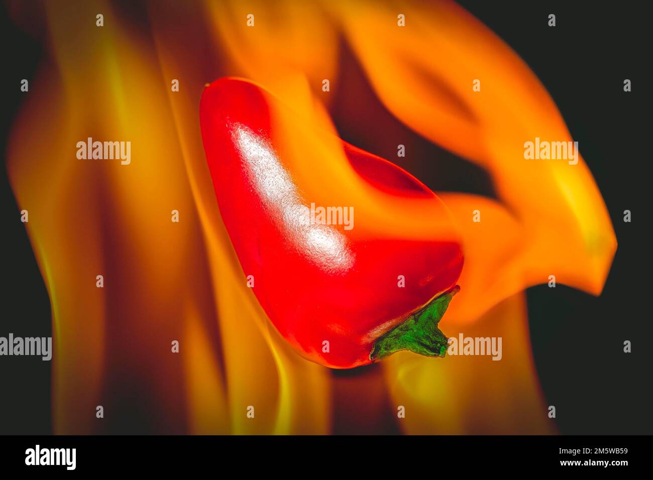 Sweet pepper (Capsicum), hot peppers, hot, in fire Stock Photo - Alamy