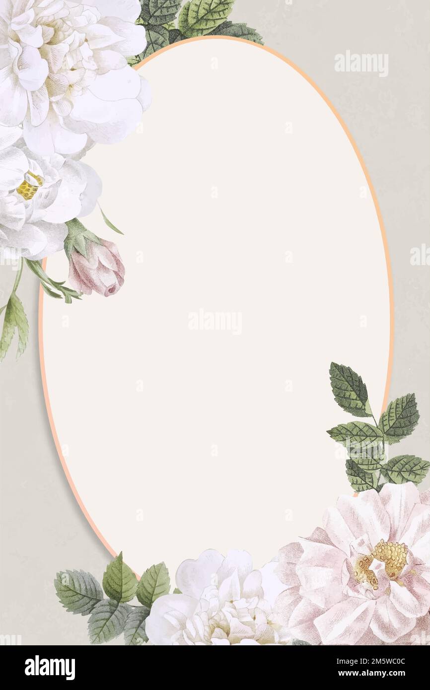 Botanical flowers frame graphic vector Stock Vector Image & Art - Alamy