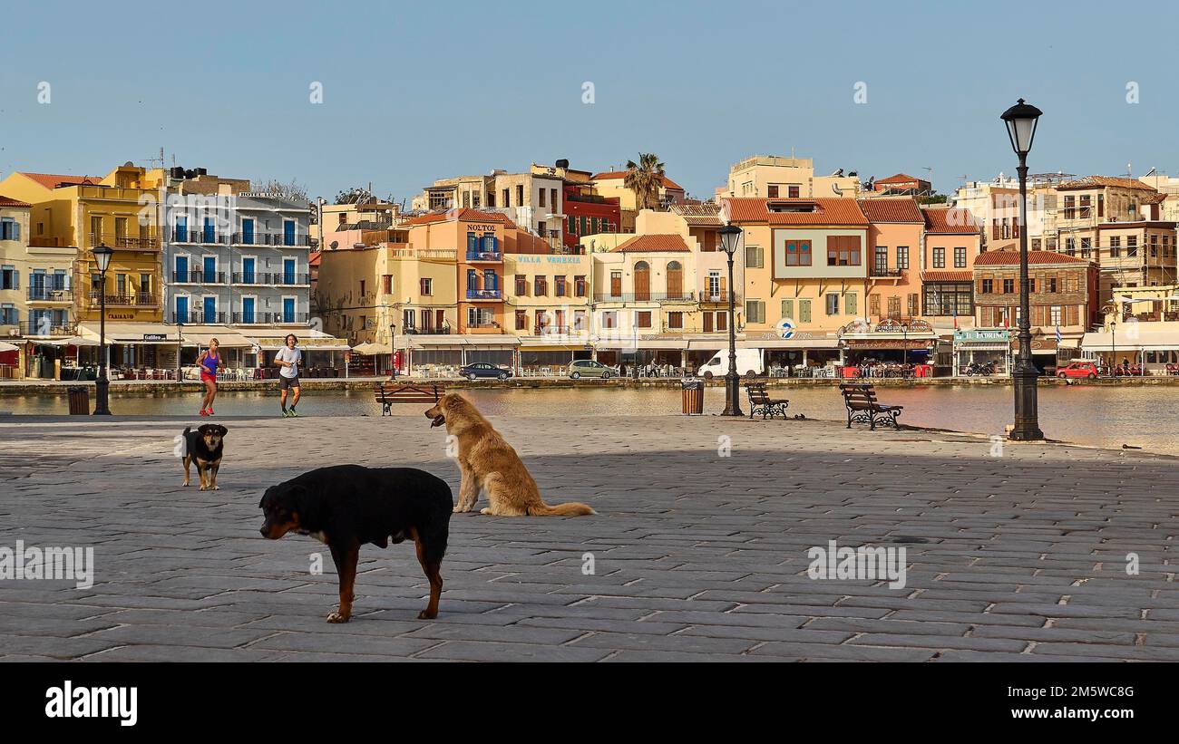 Venetian old town, Venetian harbour, row of houses, colourful houses ...