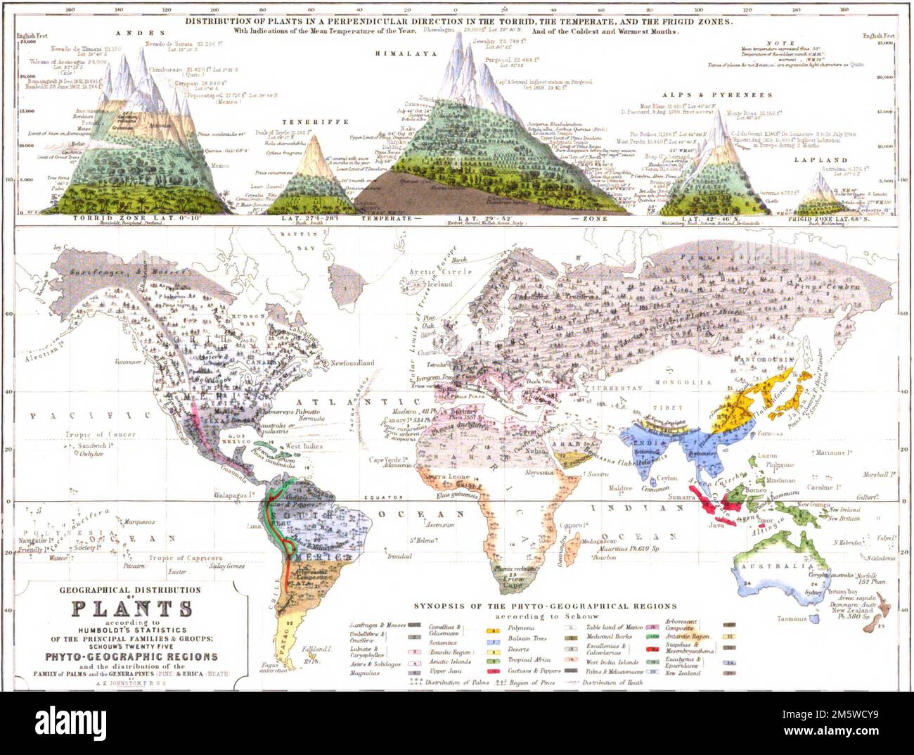 Geographical Distribution of Plants 1850 Alexander Keith Johnston Stock ...