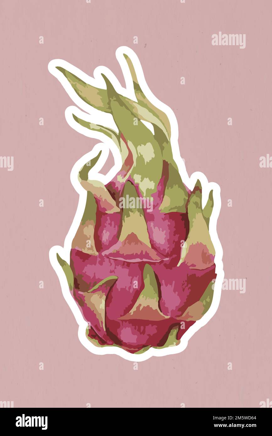Vectorized dragon fruit sticker with a white border Stock Vector Image ...