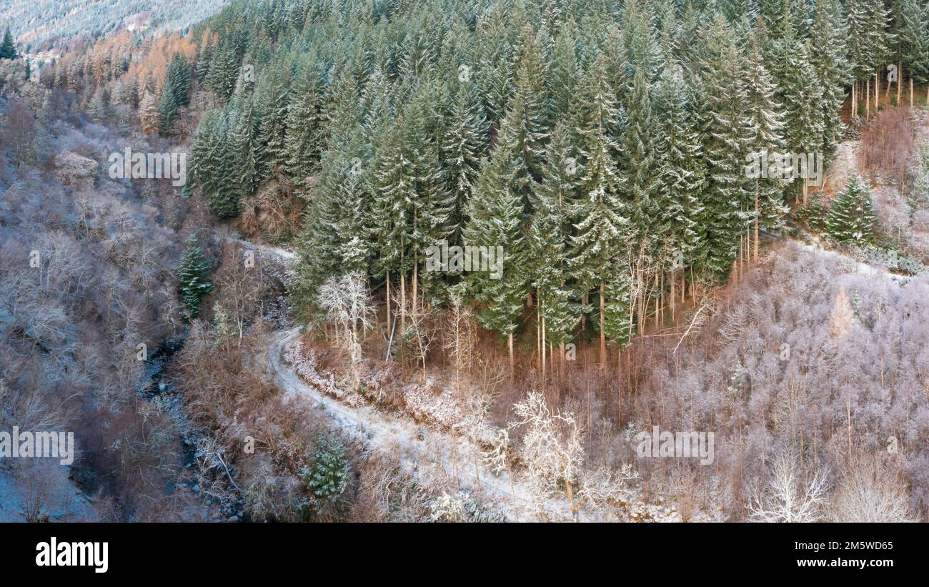 The first snow fall of the season came overnight, dusting Glen Coiltie ...