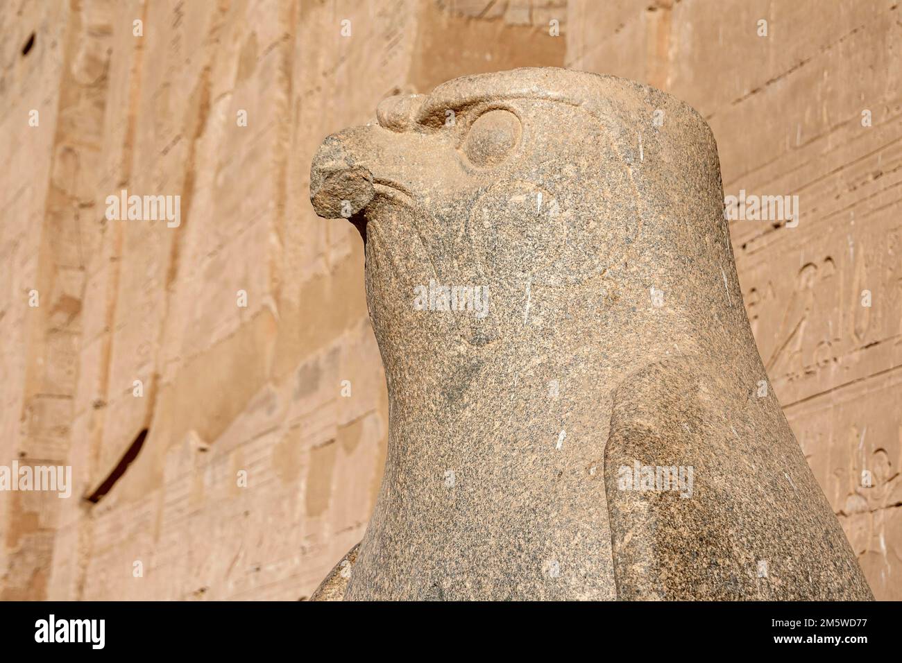 Horus statue, Edfu temple, Horus temple, Edfu, Egypt Stock Photo - Alamy