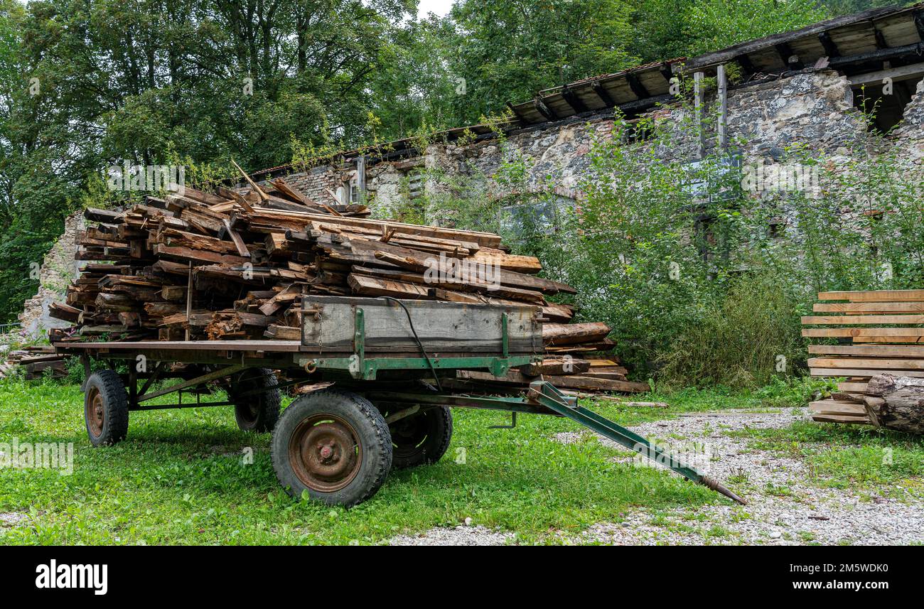 Horticultural photography hi-res stock photography and images - Alamy