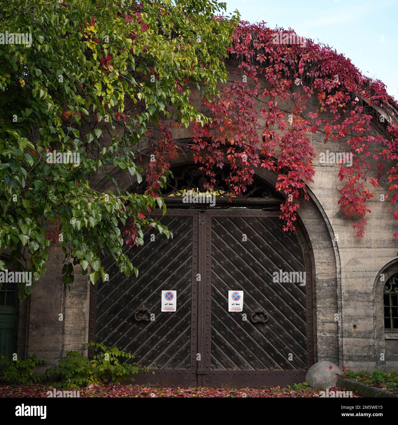 Flowers around entrance hi-res stock photography and images - Alamy