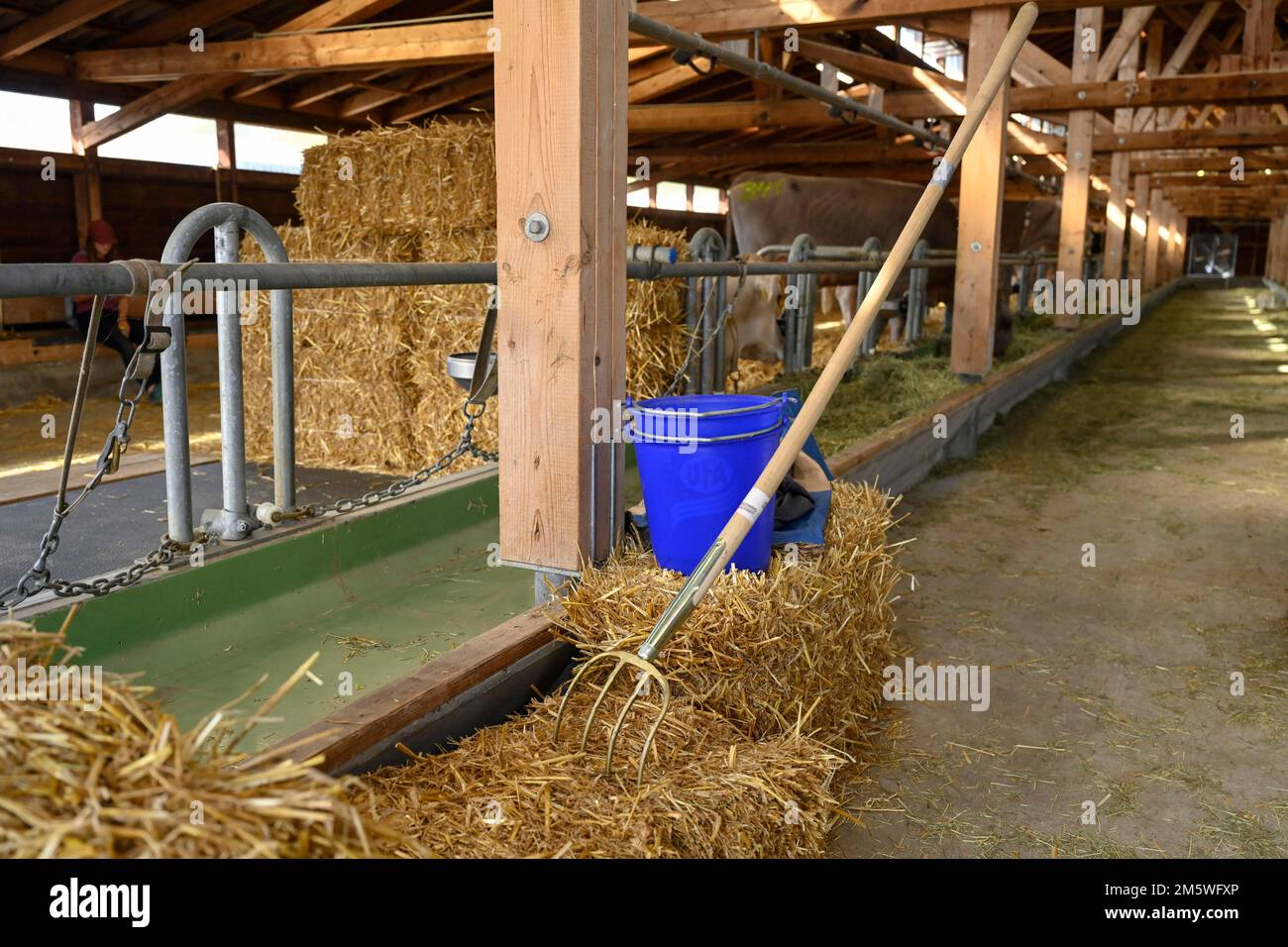 Stable Straw bale Pitchfork Stock Photo - Alamy