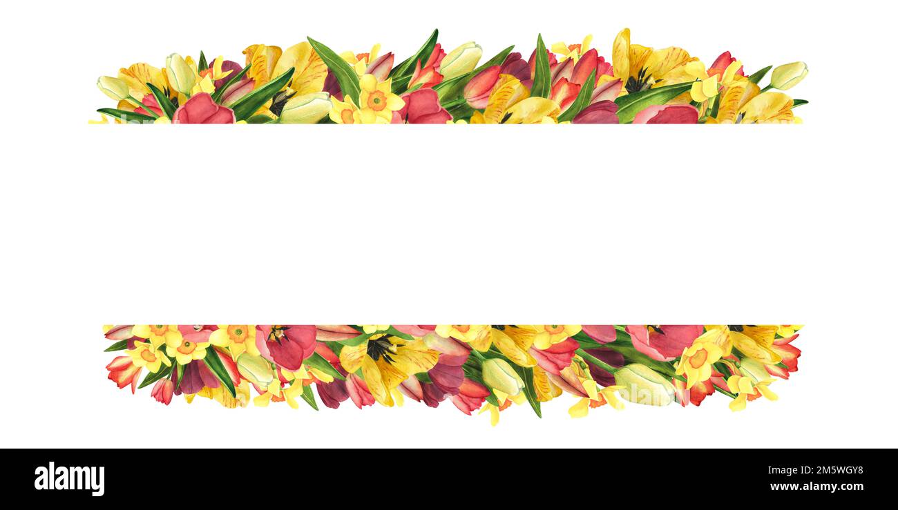 Frame Border with Tulips and daffodils isolated on white background ...