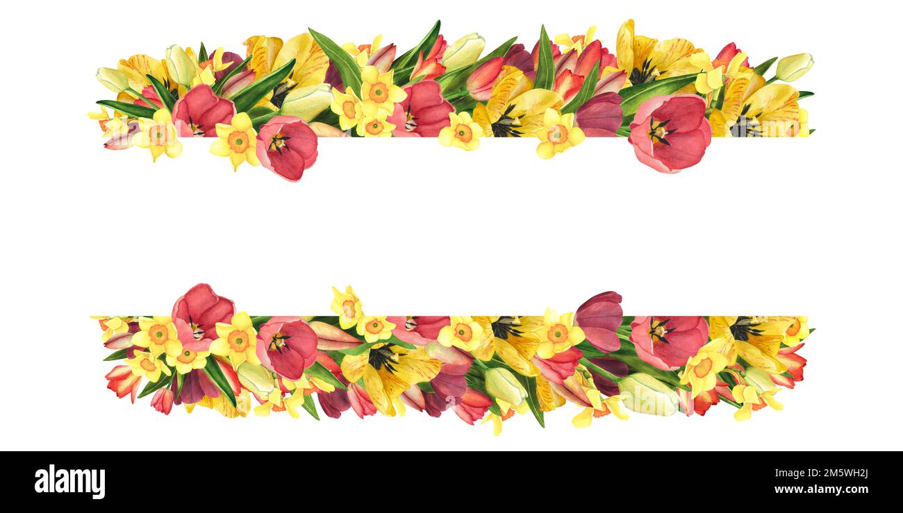 Frame Border with Tulips and daffodils isolated on white background ...