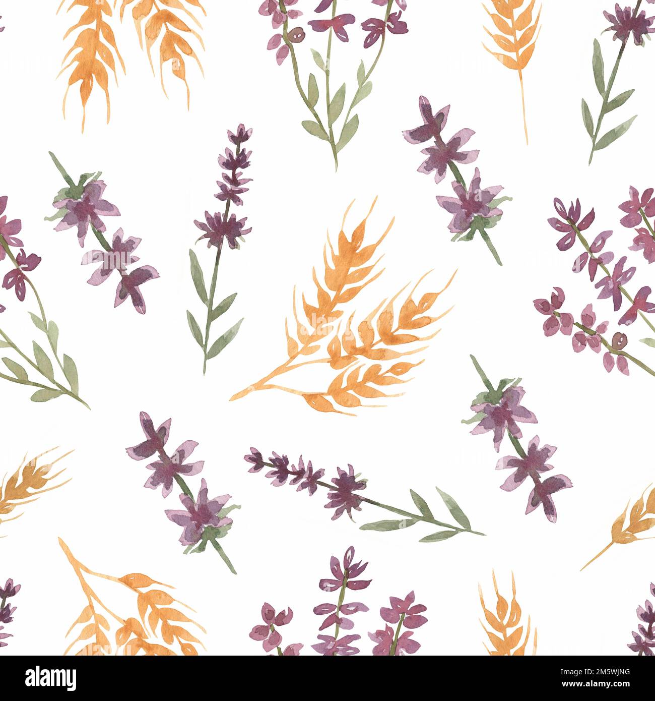 Watercolor wildflower floral pattern, delicate flower wallpaper with ...