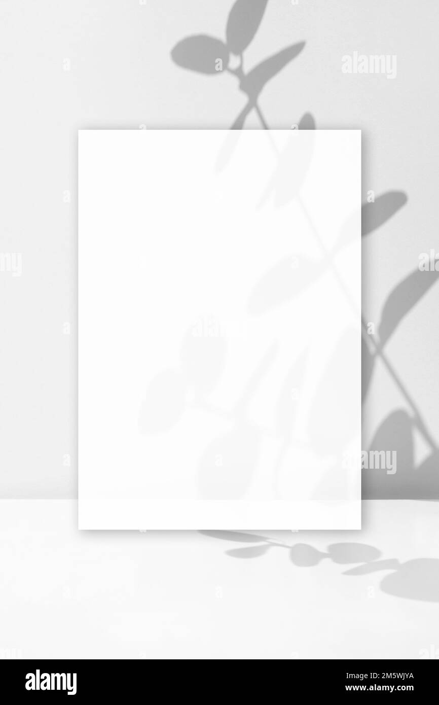 Flowers branches leaves on Black and White Stock Photos & Images - Alamy