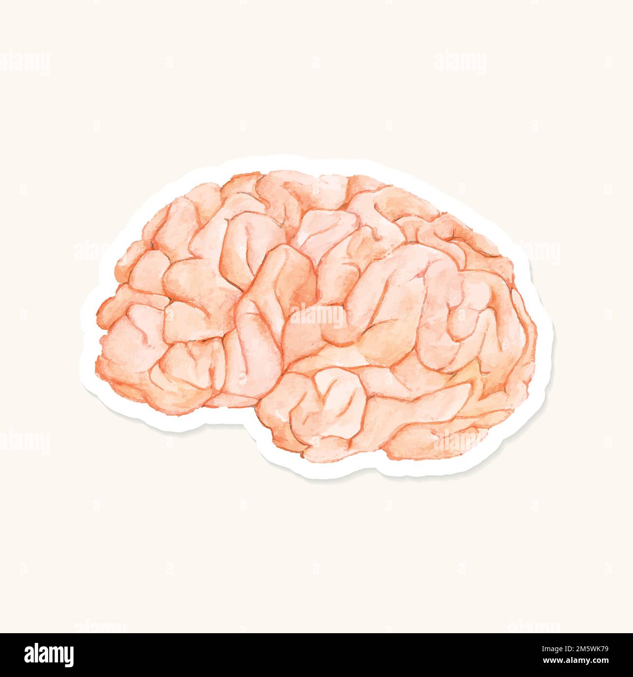 Hand drawn pink brain sticker vector Stock Vector Image & Art - Alamy