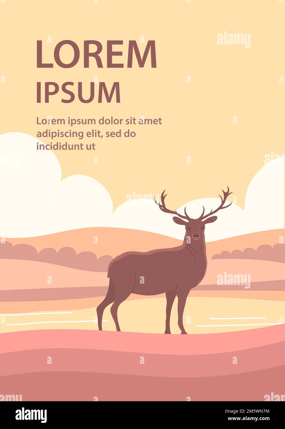 Beautiful red deer with antlers. Forest herbivore animal. Faina and ...