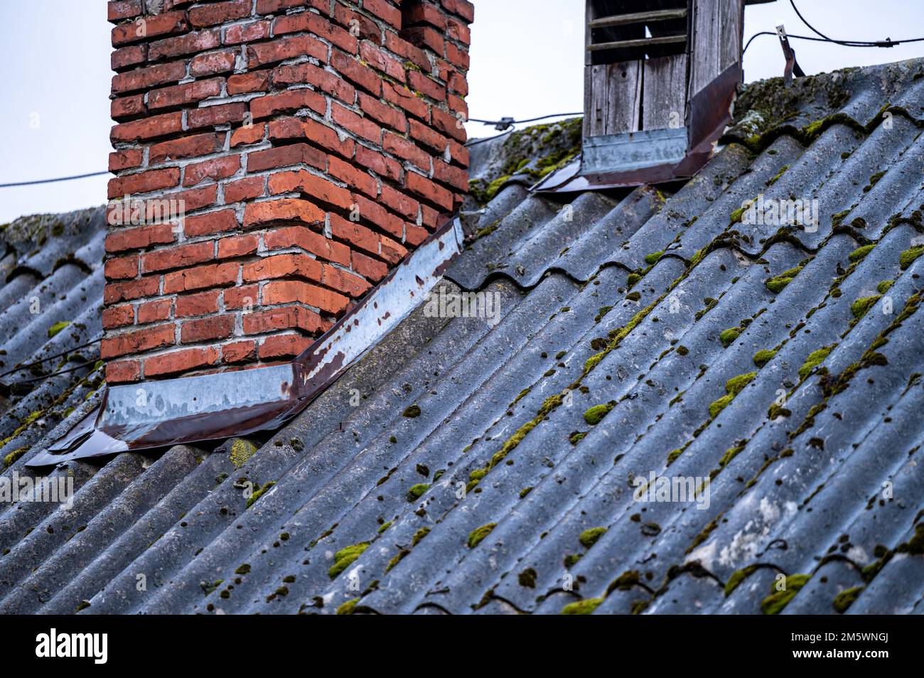 Dangerous asbestos roofs are still common in the poverty parties of the ...