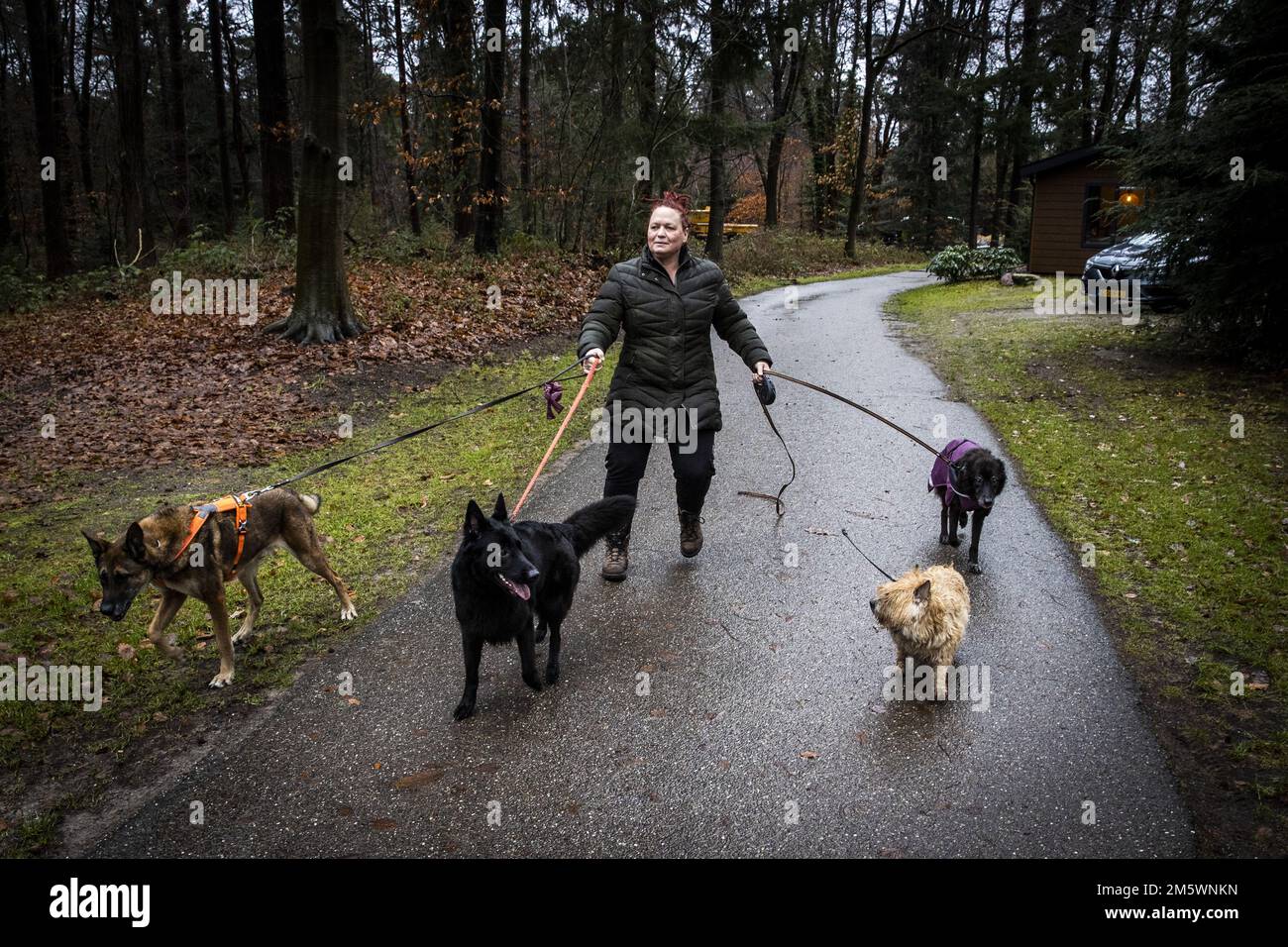 Ommen, Netherlands. 31st Dec, 2022. OMMEN - Guests walk on a campsite ...