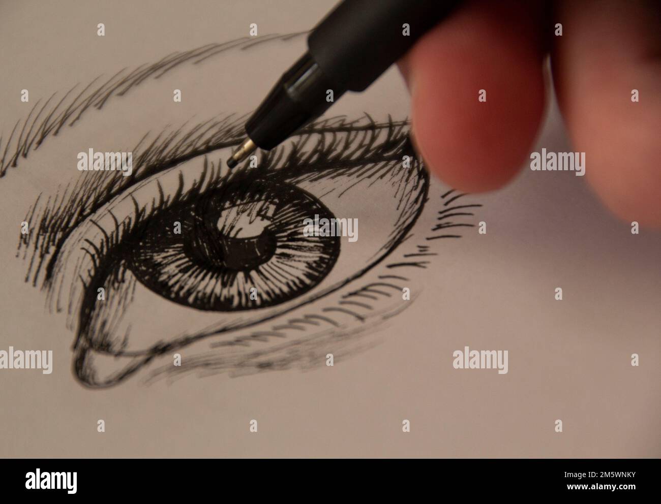 Drawing of a female eye in black ink on white paper. Photo of a ...