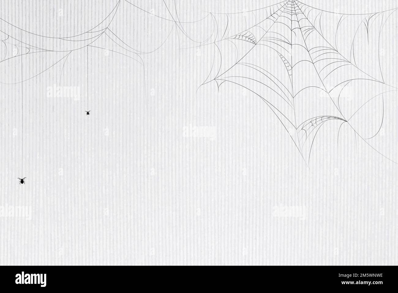 Spider web white background template vector Stock Vector Image & Art ...