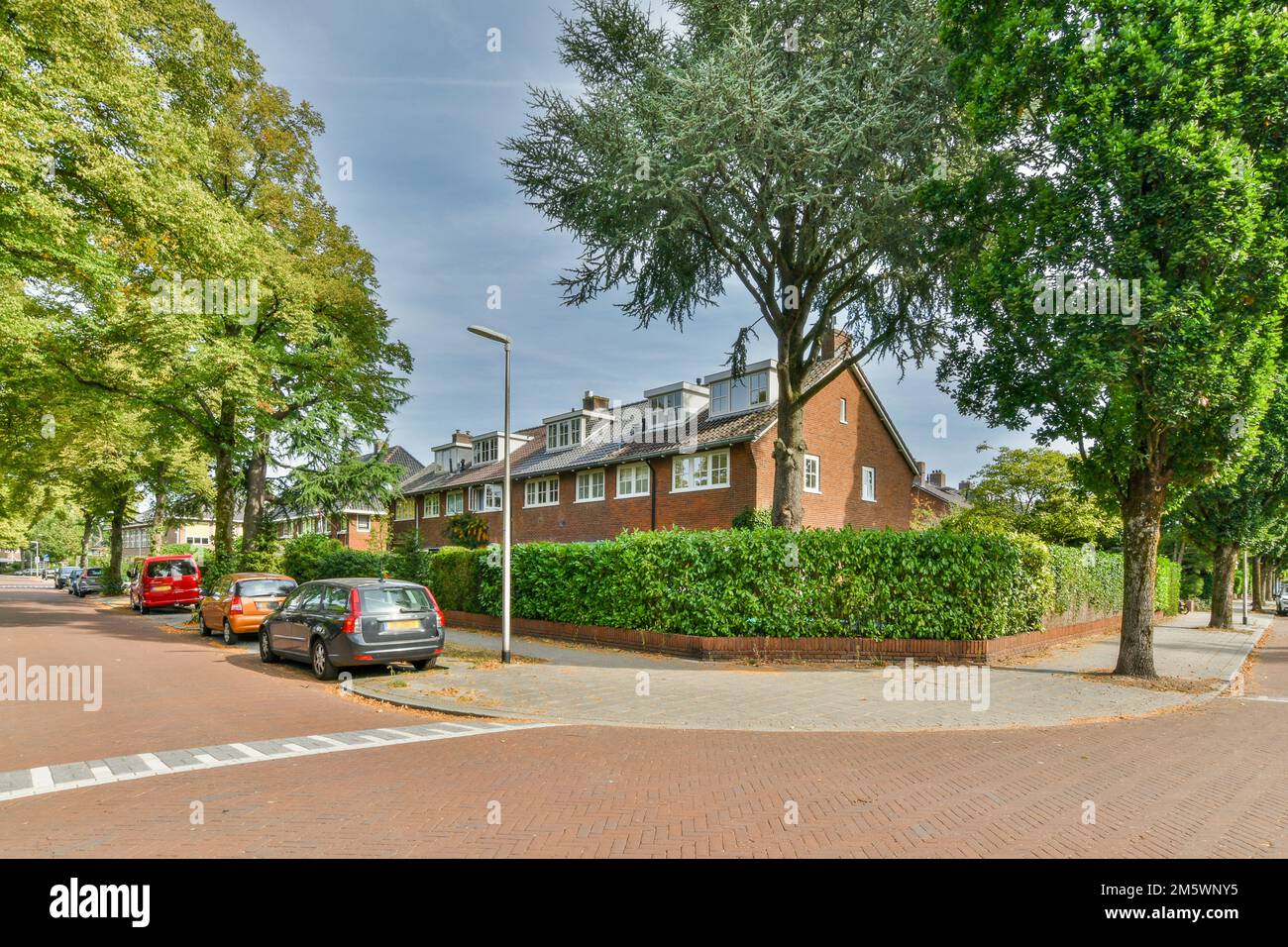 a street with cars parked on the side and trees lining the road in ...