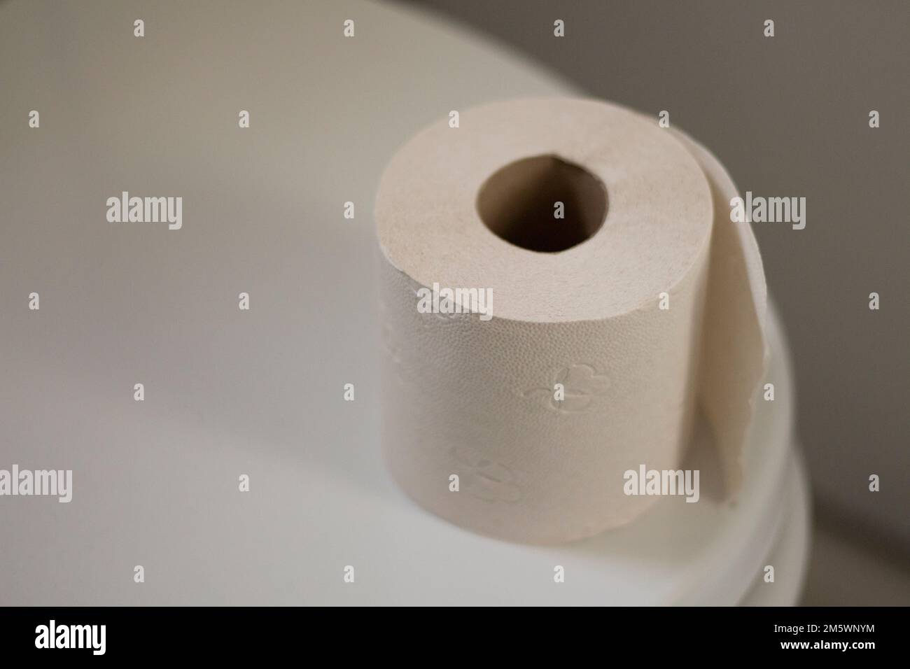 Toilet paper on the toilet. Restroom home. Health of the stomach and ...