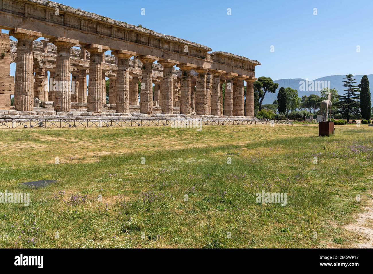 The first Temple of Hera at Paestum with massive colonnades, Campania ...