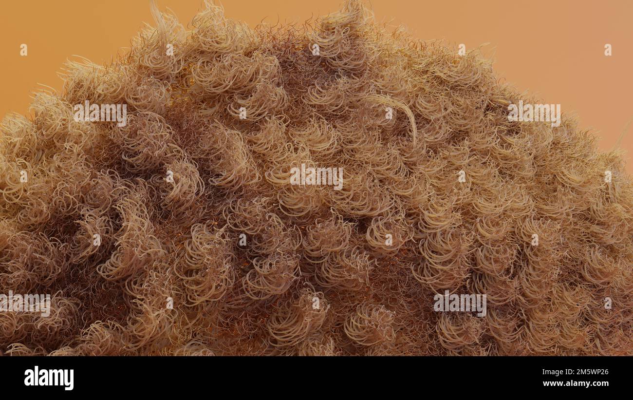 Long haired fur pompon hi-res stock photography and images - Alamy