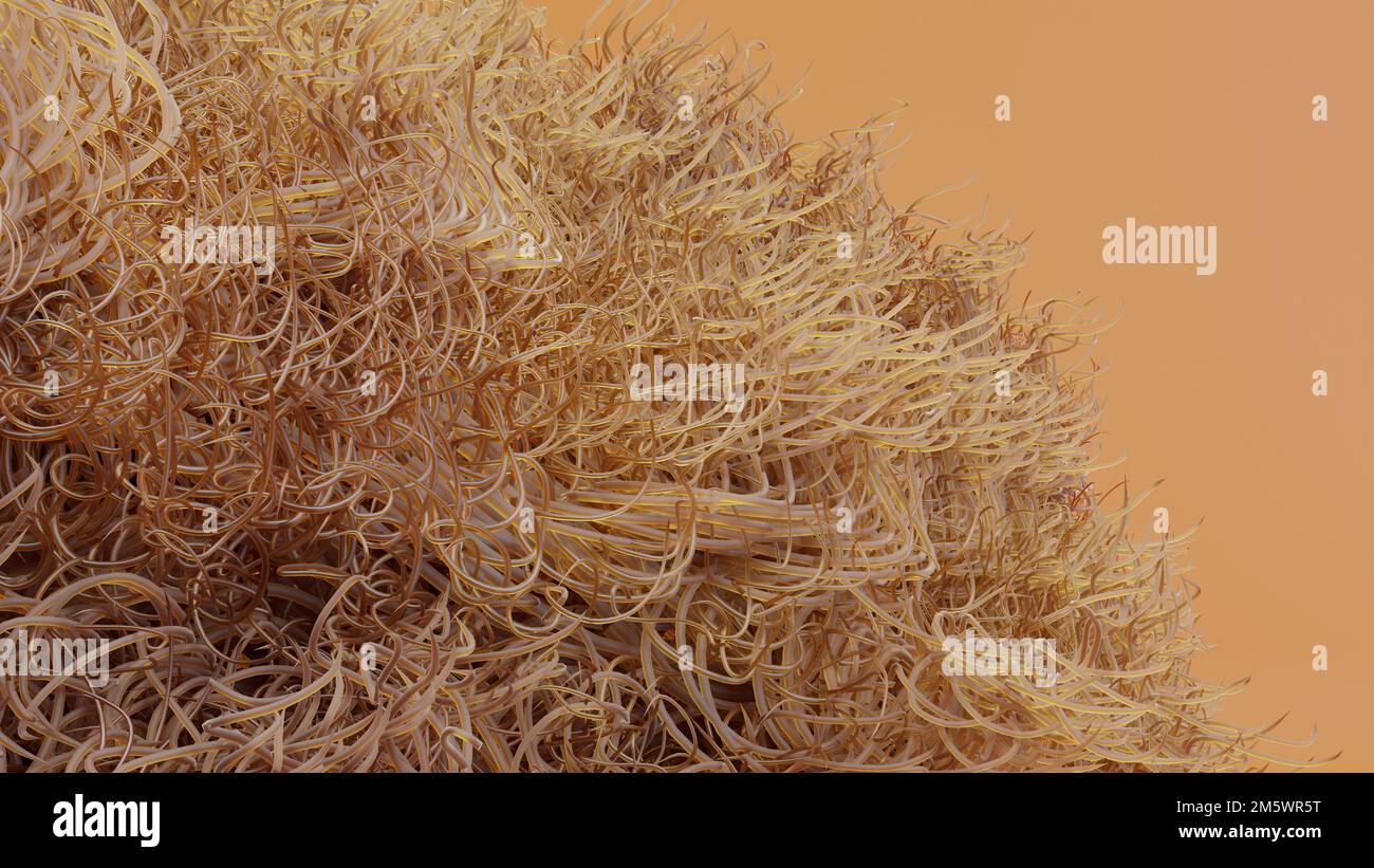 Long haired fur pompon hi-res stock photography and images - Alamy