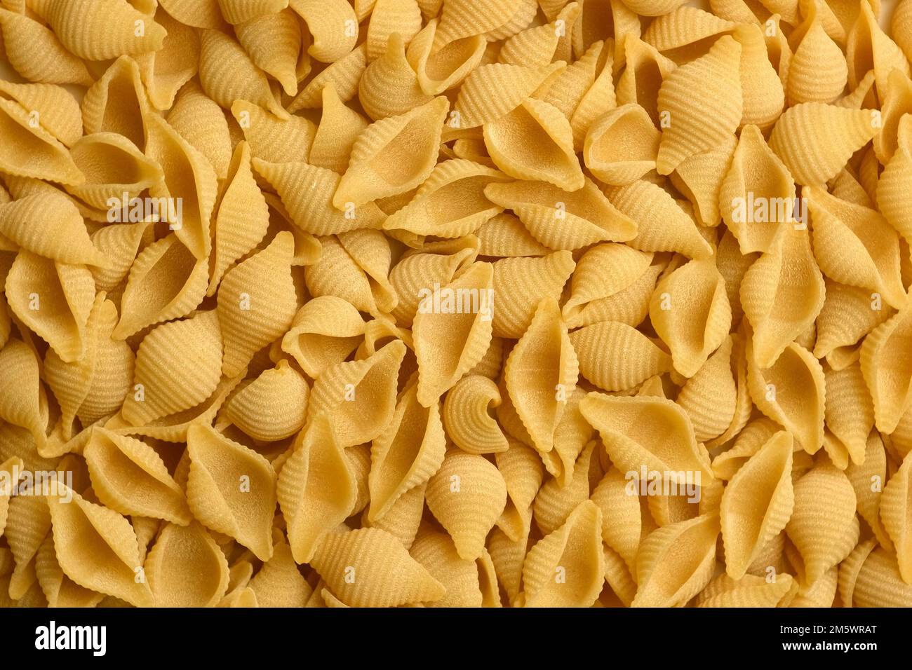 Conchiglie, Shells or Seashells Pasta Wallpaper. Spiral Raw Macaroni ...