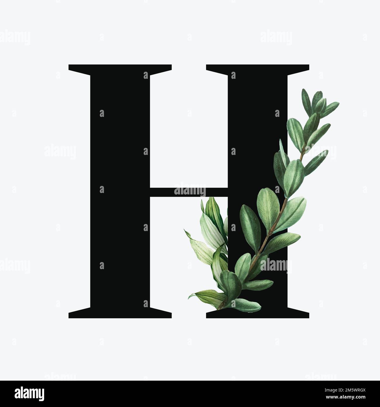 Botanical capital letter H vector Stock Vector Image & Art - Alamy Botanical capital letter H vector Stock Vector Image & Art - Alamy