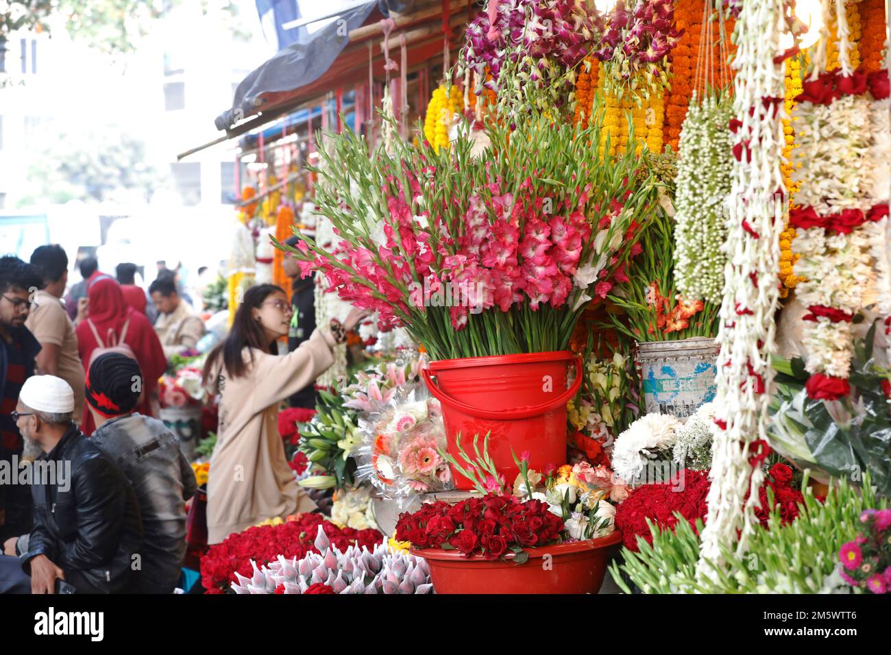 Dhaka, Bangladesh - December 31, 2022: Many people come at Shahbagh in ...