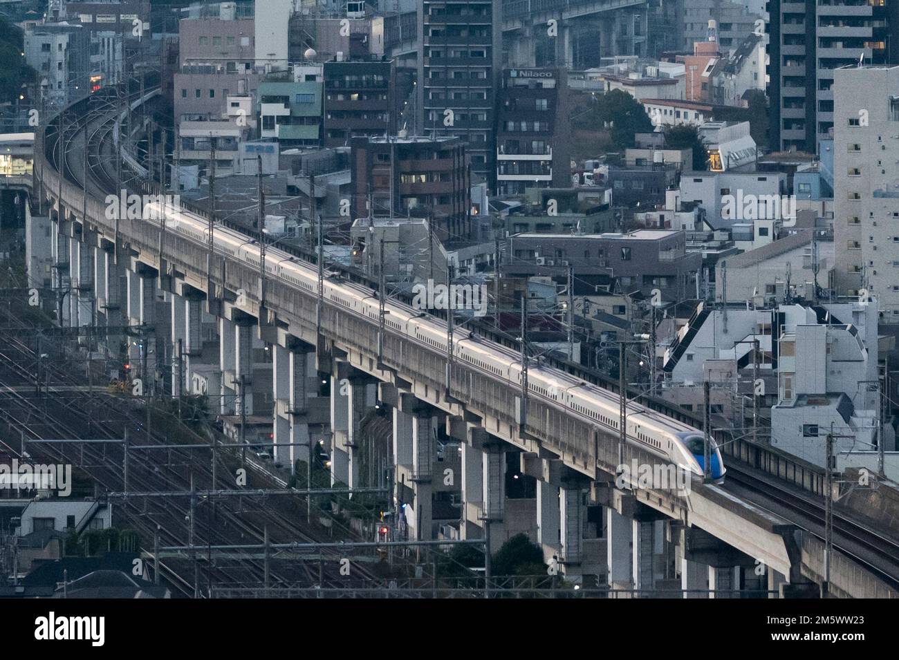 Tokyo, Japan. 10th Nov, 2022. A JR Shinkansen Limited Express bullet ...